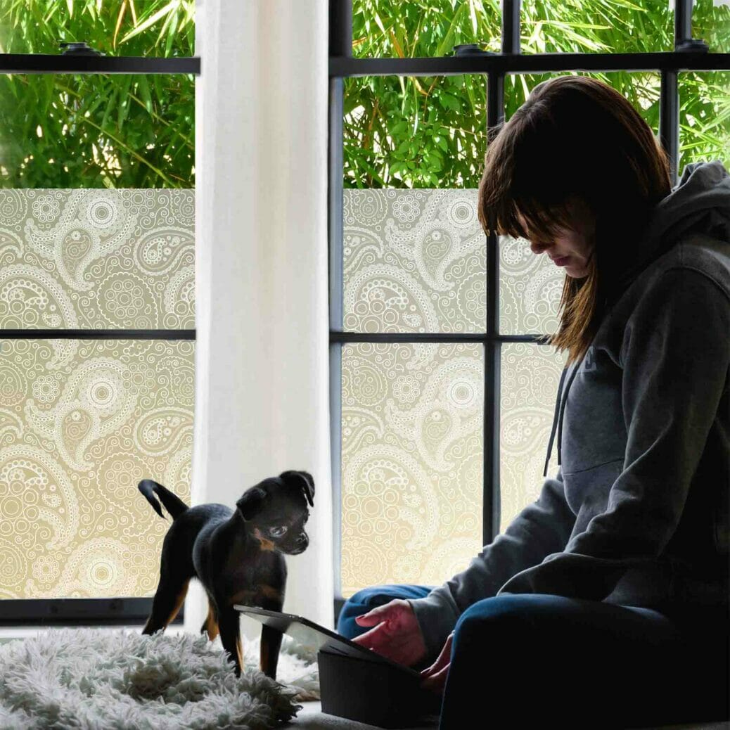 Fishy Fish Privacy Window Film - StickPretty
