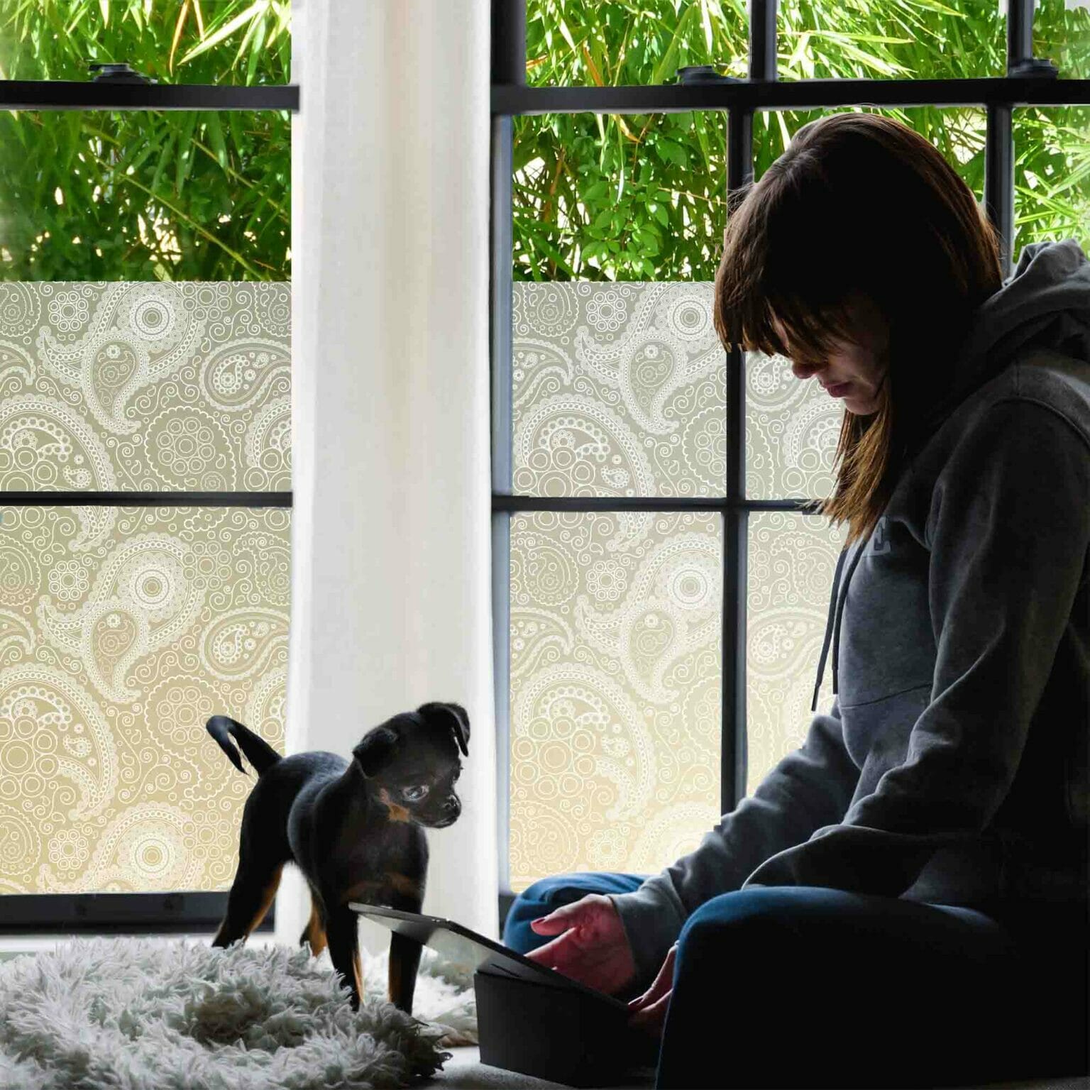 Otto Window Privacy Film Price | Buy Privacy Window Film