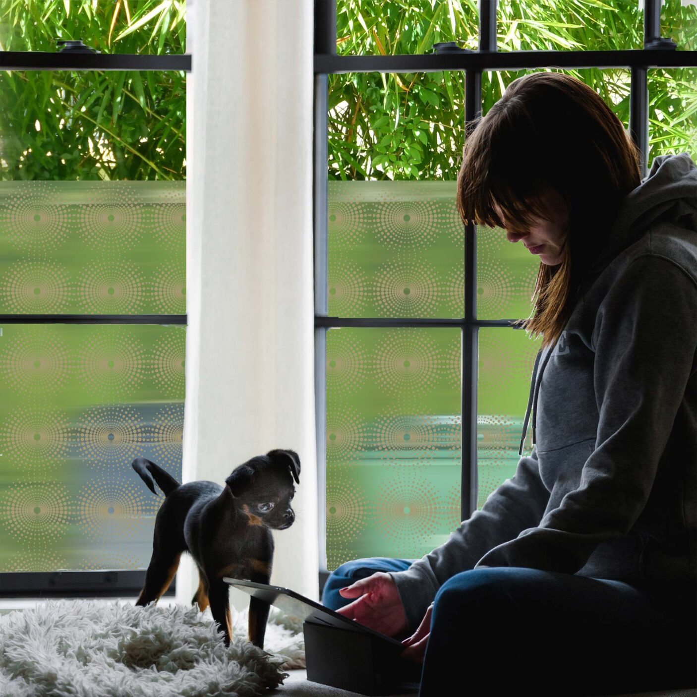 Using window film for privacy is the top choice for 1000's.